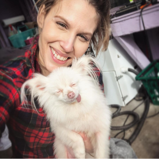 About Us - The Calm Dog Studio